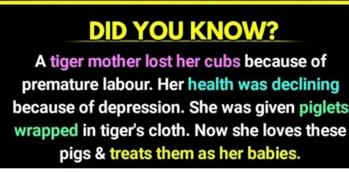 41 Fun Trivia Facts That Will Impress Everyone Around You