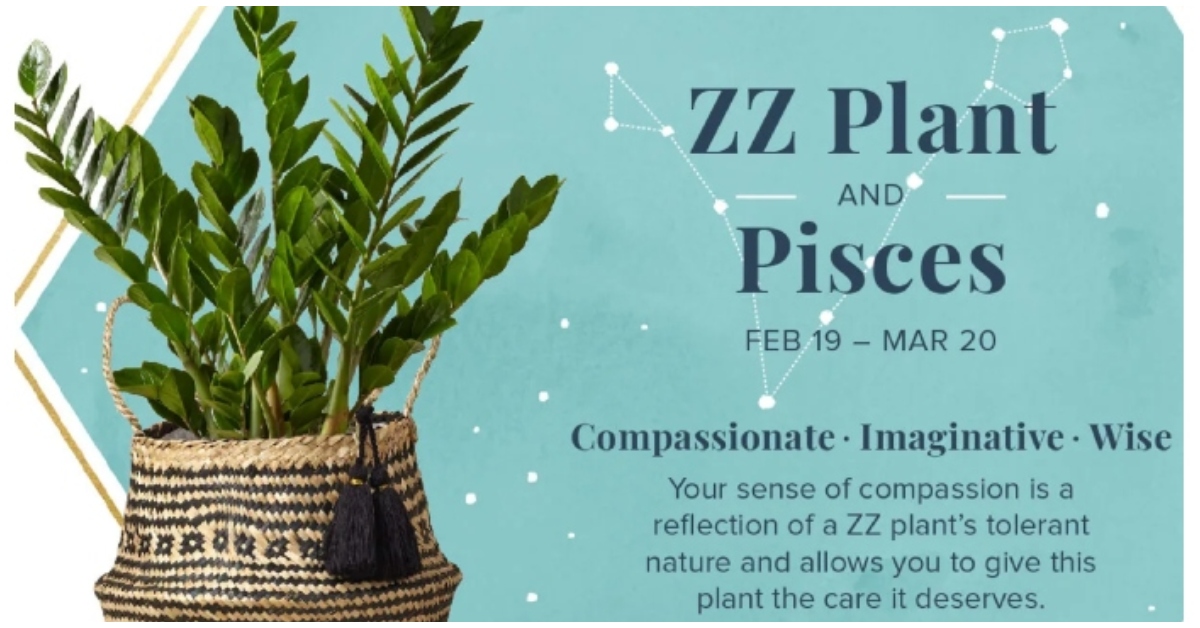 Star Sign & Style: Discovering the Ideal Home Aesthetic for Your Zodiac