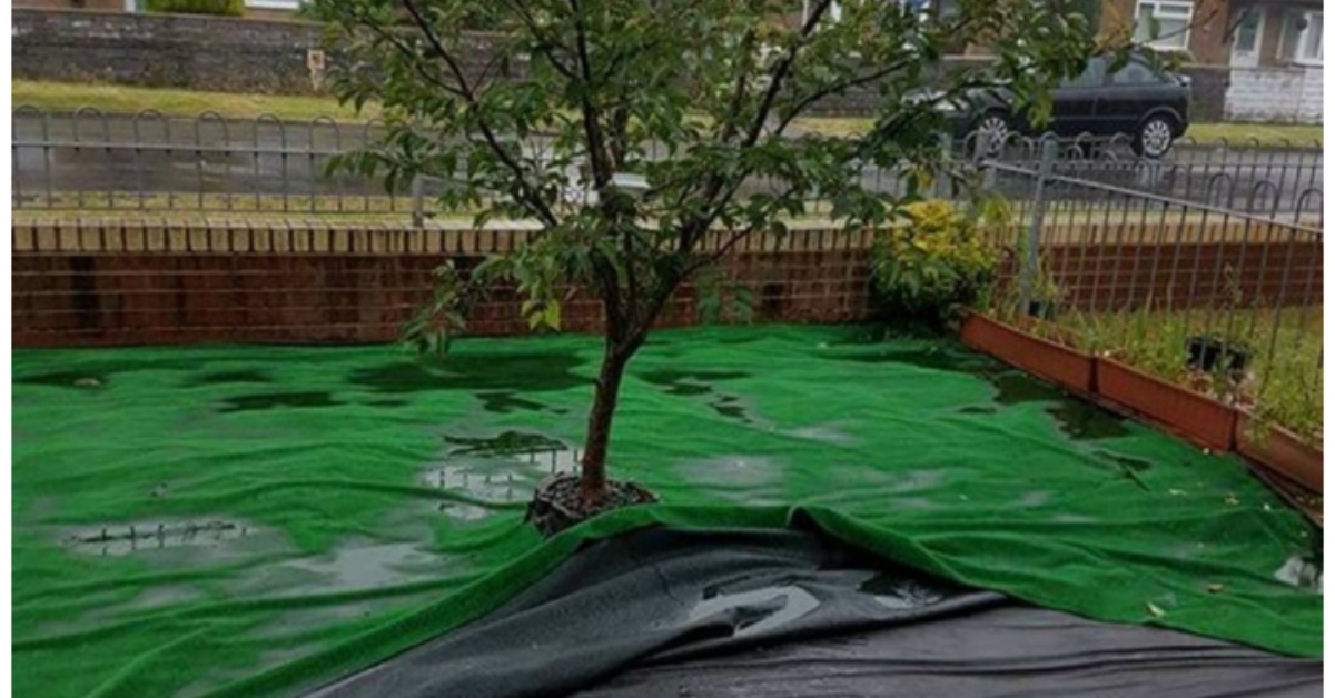 35+ Worst Garden Trends and Designs to Avoid